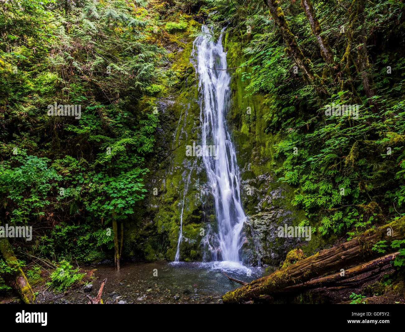 waterfall olympic national park washington Stock Photo - Alamy