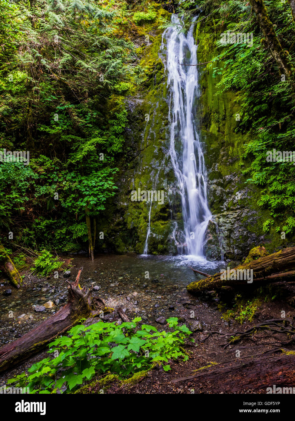 waterfall olympic national park washington Stock Photo - Alamy