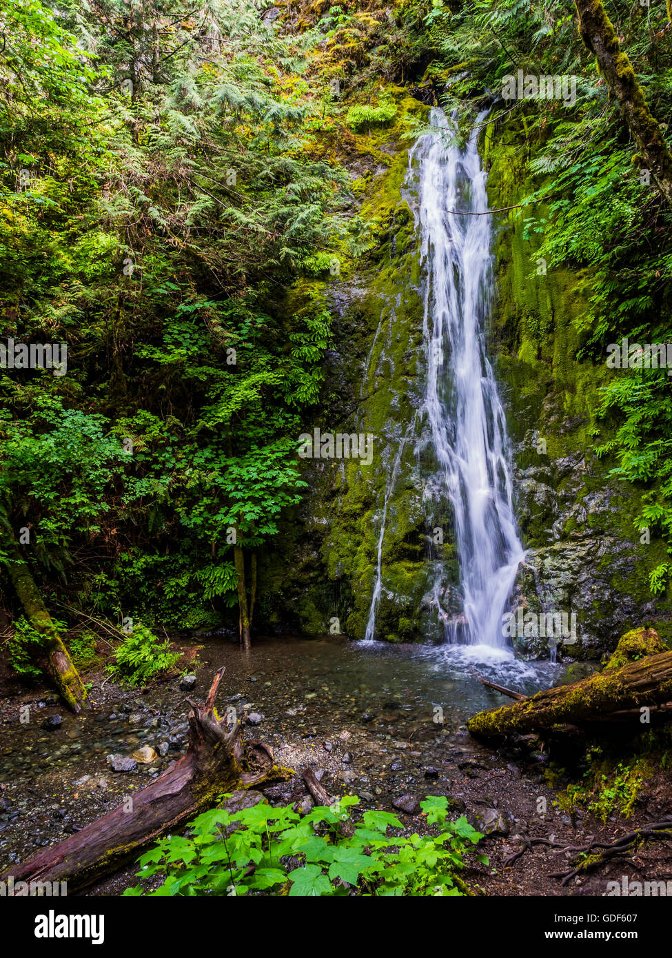 waterfall olympic national park washington Stock Photo - Alamy