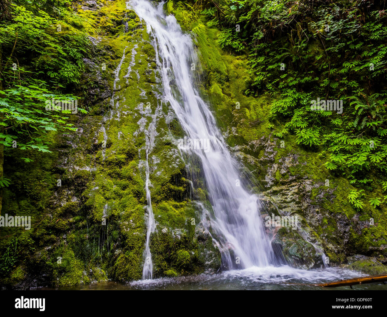 waterfall olympic national park washington Stock Photo - Alamy