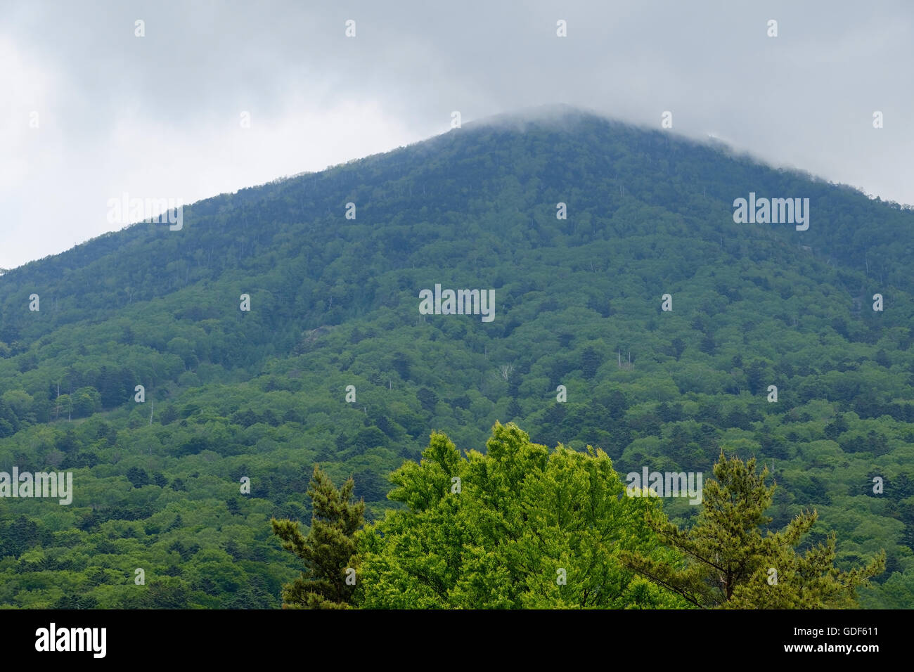 Mount Nantai volcano in Nikko National Park, Japan Stock Photo - Alamy