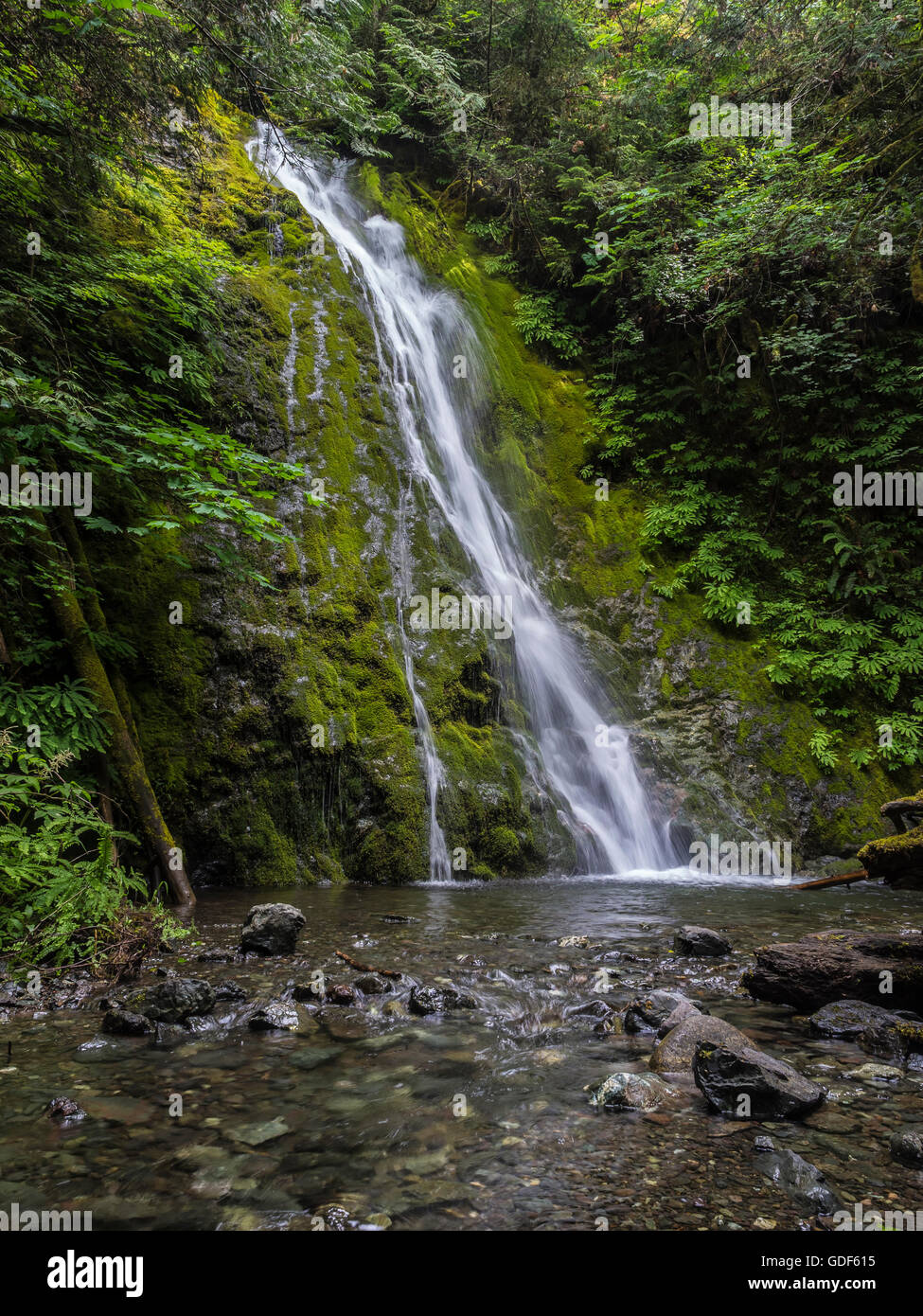 waterfall olympic national park washington Stock Photo - Alamy