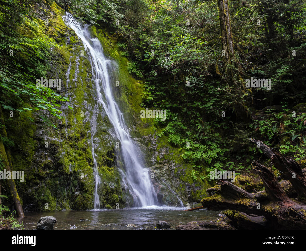 waterfall olympic national park washington Stock Photo - Alamy