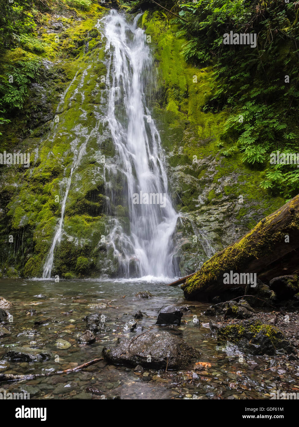 waterfall olympic national park washington Stock Photo - Alamy