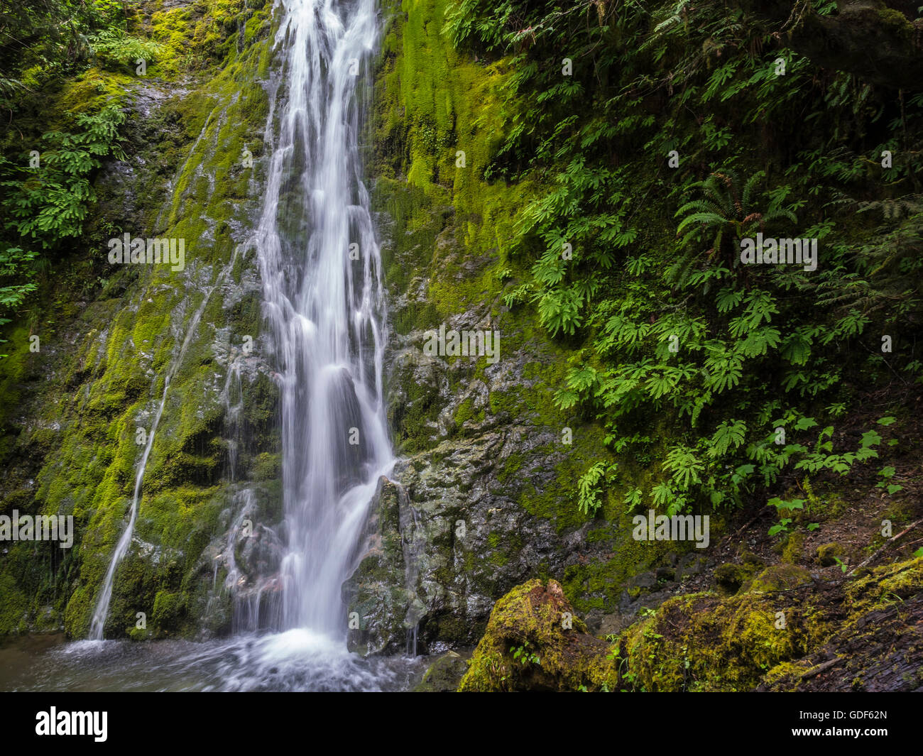waterfall olympic national park washington Stock Photo - Alamy