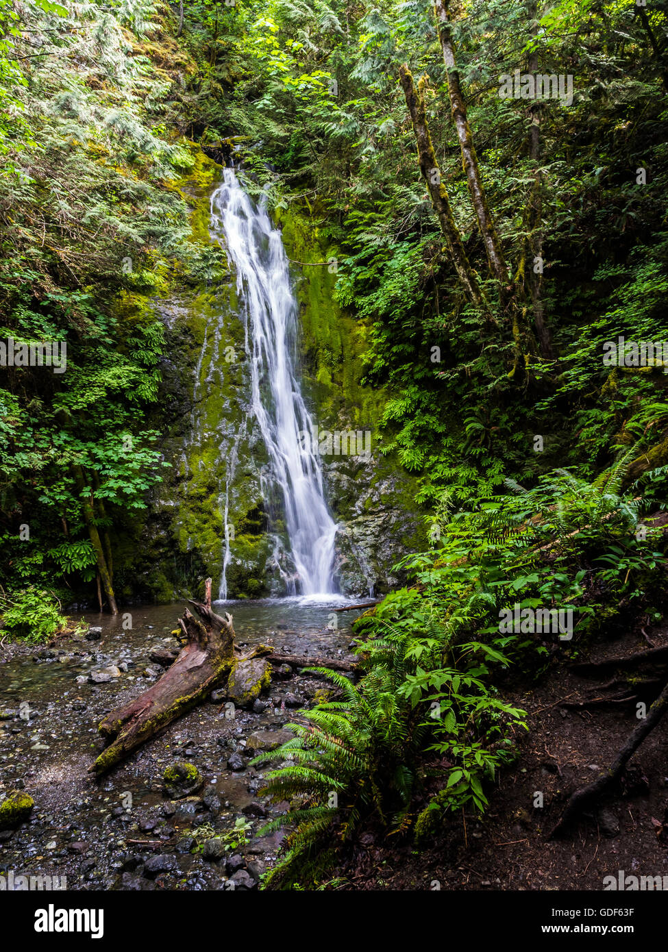 waterfall olympic national park washington Stock Photo - Alamy