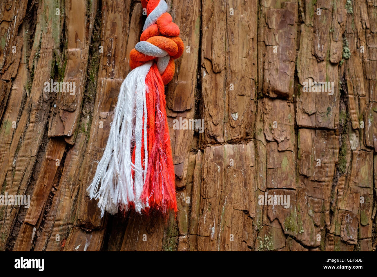 Shimenawa ropes at a Shinto shrine at Nikko, Japan Stock Photo - Alamy