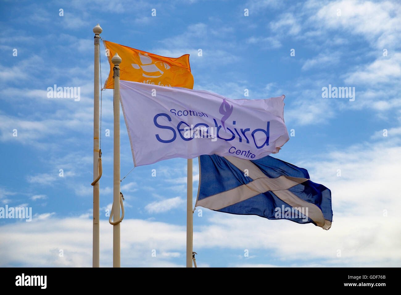 Scottish Flags Stock Photos & Scottish Flags Stock Images - Alamy