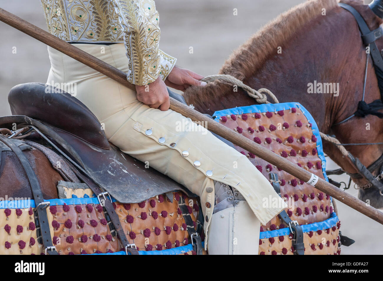 Picador bullfighter, lancer whose job it is to weaken bull's neck ...