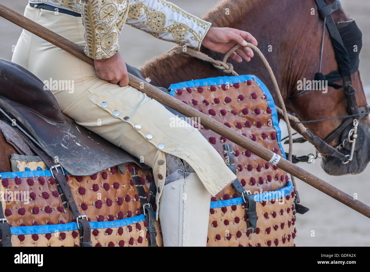 Picador bullfighter, lancer whose job it is to weaken bull's neck ...
