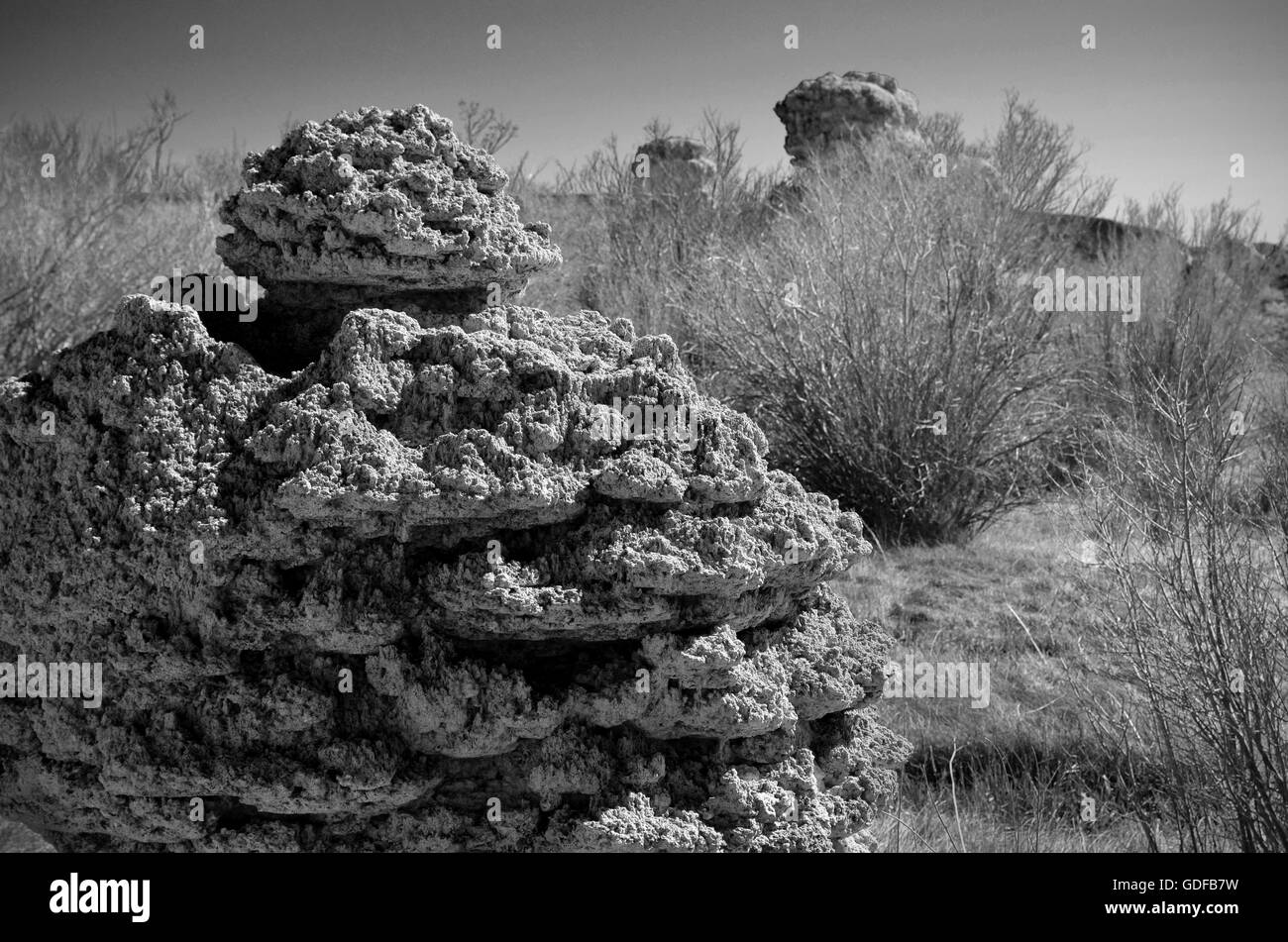 Tufa formations at Mono Lake Stock Photo - Alamy