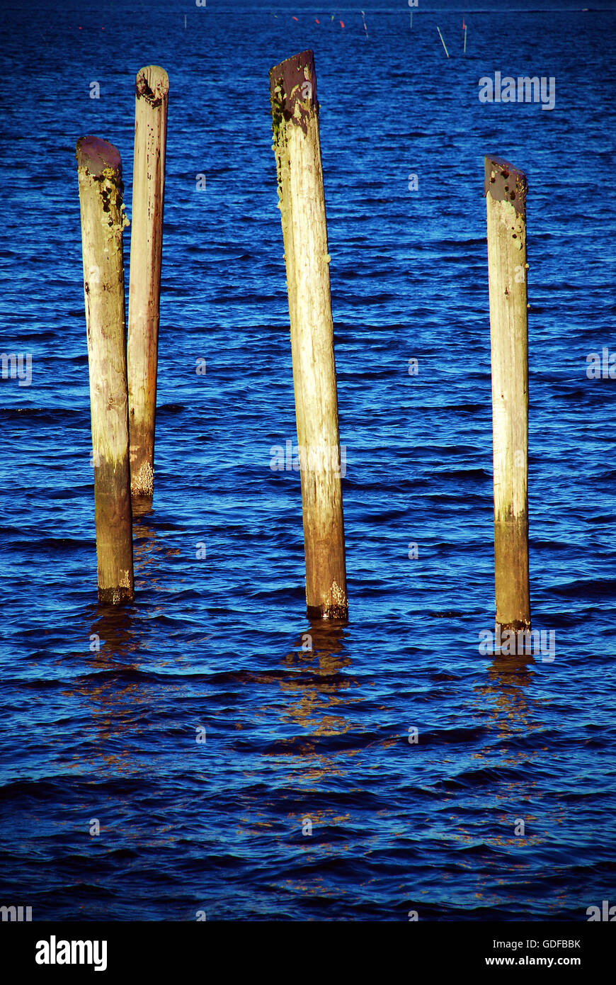 Old wood pier piling hi-res stock photography and images - Alamy