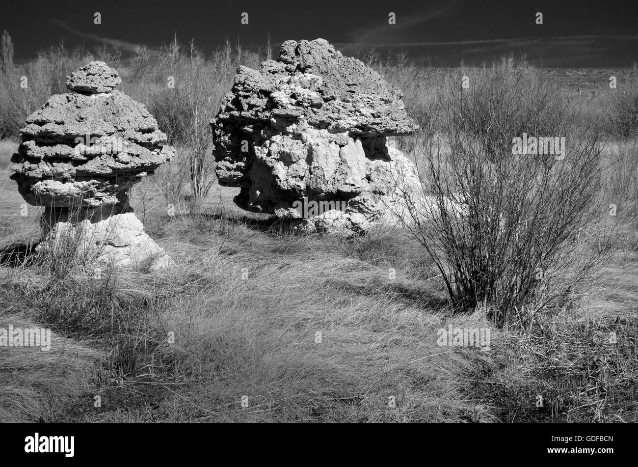 Tufa formations at Mono Lake Stock Photo - Alamy