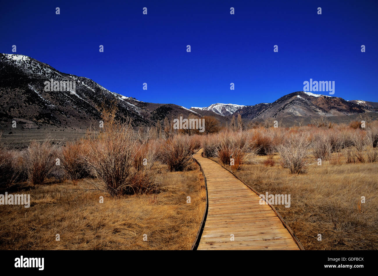 Walkway through brush with Mountains in background Stock Photo - Alamy