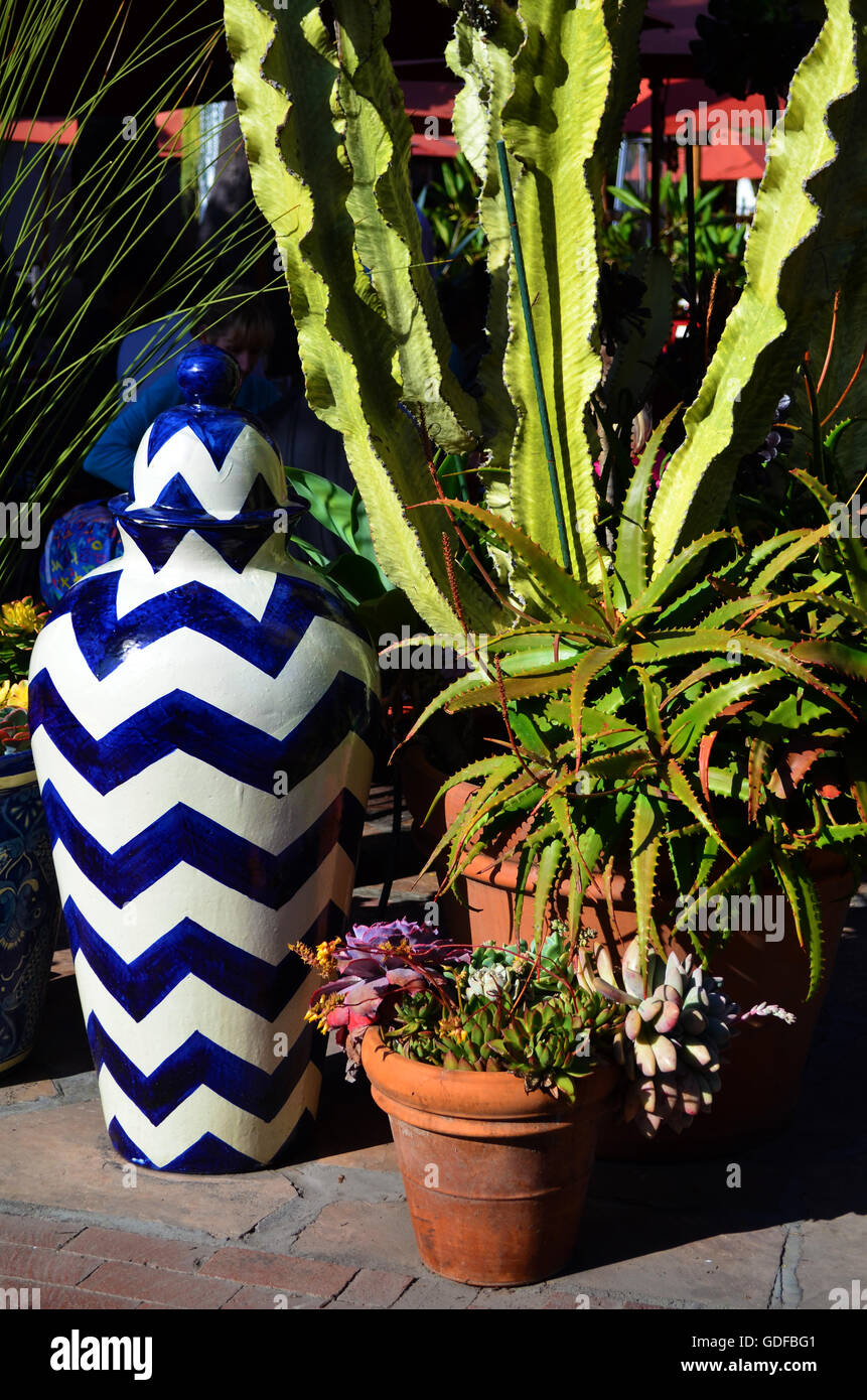 Succulent arrangement with colorful pot Stock Photo - Alamy