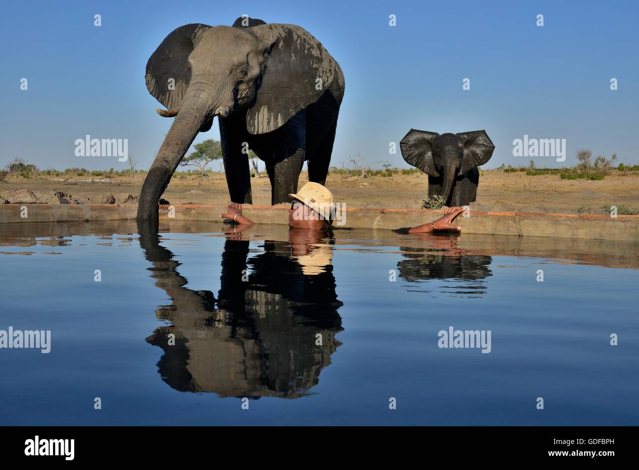 Park ranger africa hi-res stock photography and images - Alamy