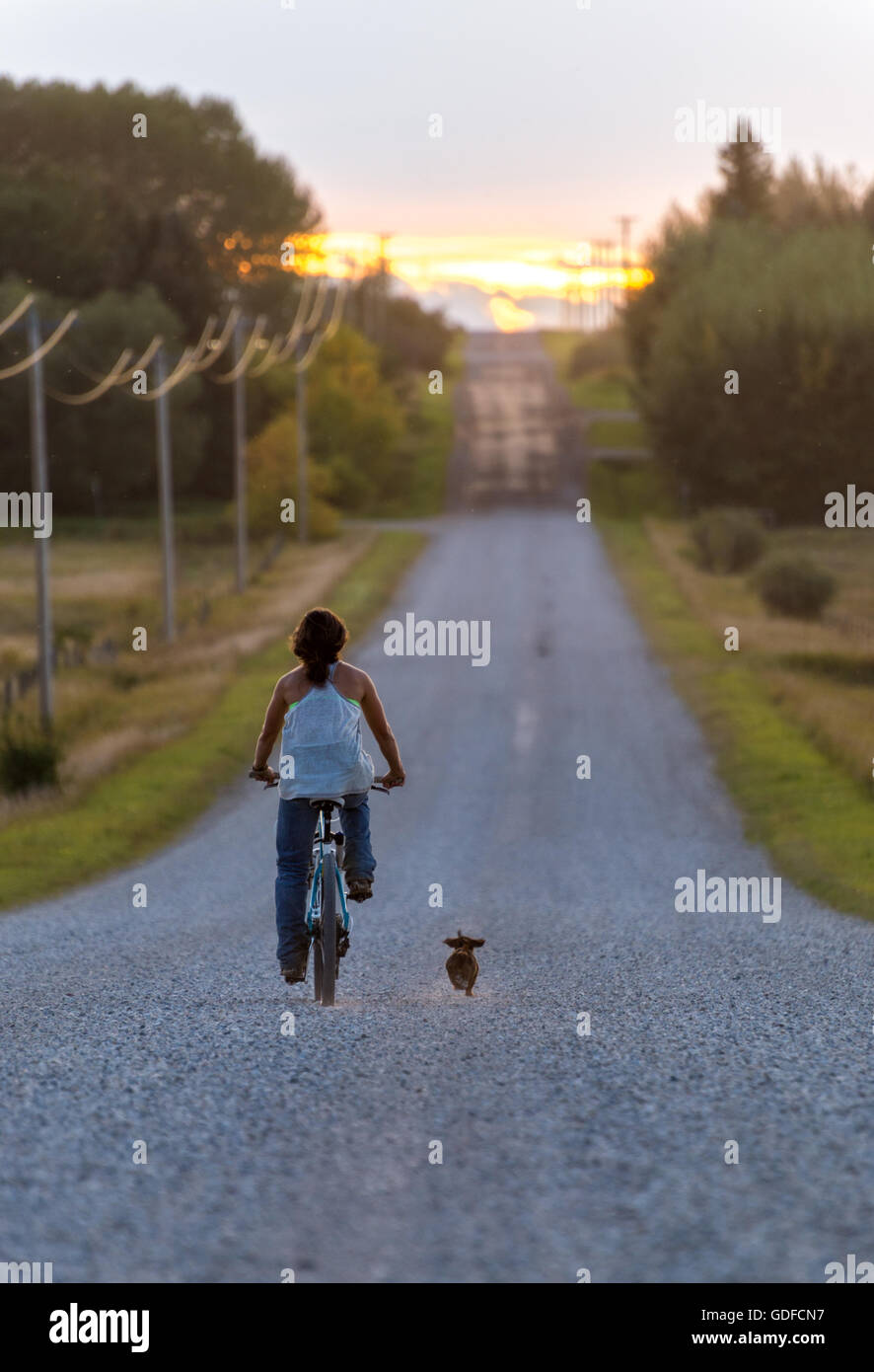 Farm girl bikes down road with dog Stock Photo - Alamy