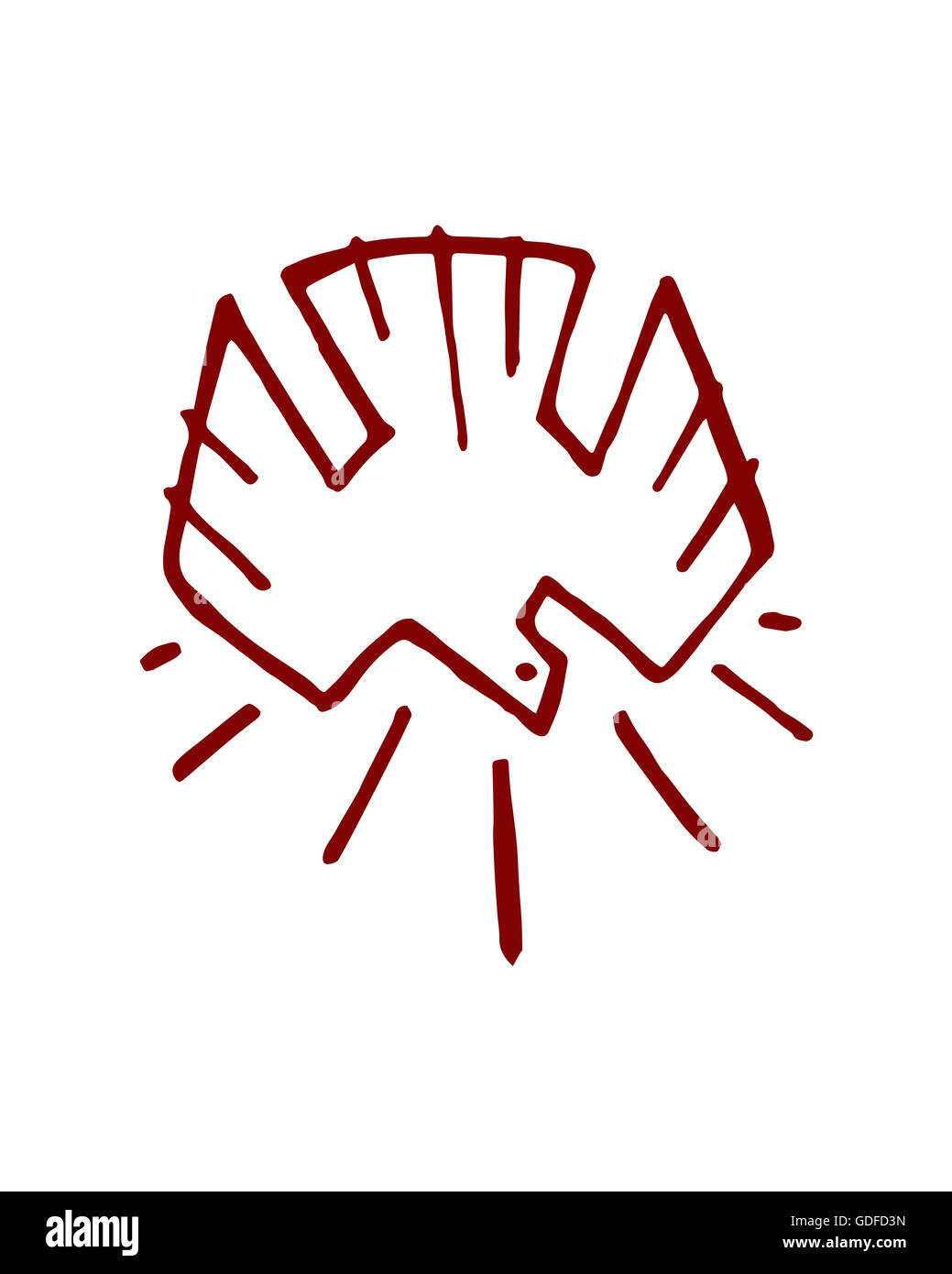 Fire and feathers Cut Out Stock Images & Pictures - Alamy