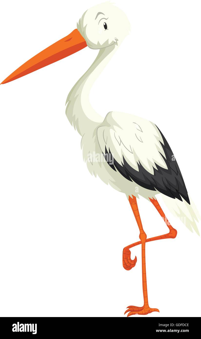 Crane standing on one leg hi-res stock photography and images - Alamy