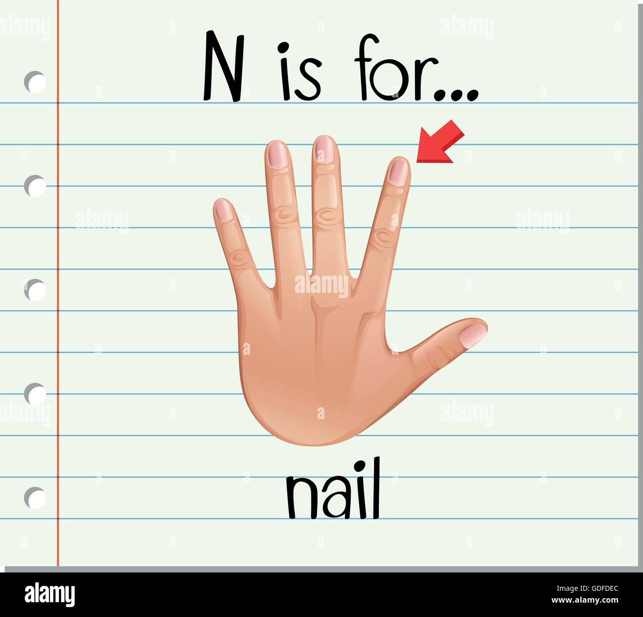 Flashcard letter N is for nail illustration Stock Vector Image & Art ...