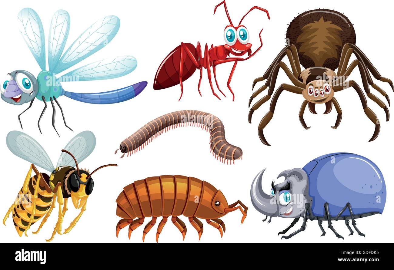 Set of different types of bugs illustration Stock Vector Image & Art ...