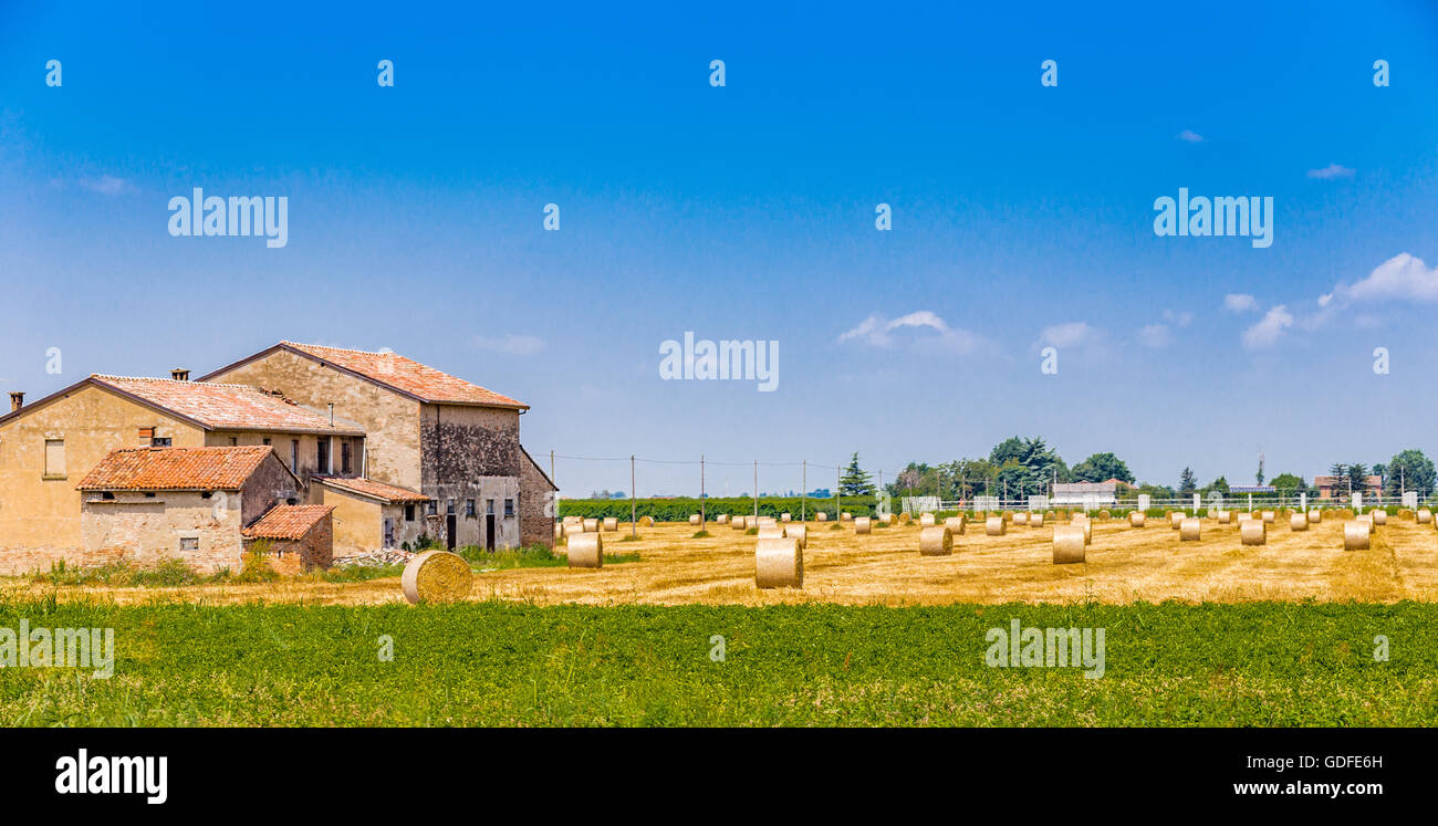 round hay bales in a harvested field near a country farmhouse, rural ...