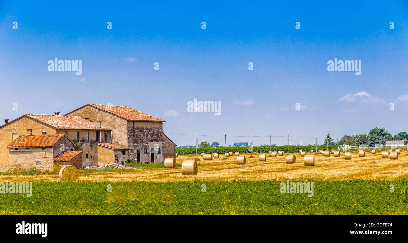 round hay bales in a harvested field near a country farmhouse, rural ...