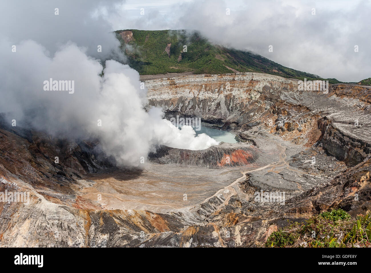 National Park Volcano Poas in Costa Rica Stock Photo - Alamy