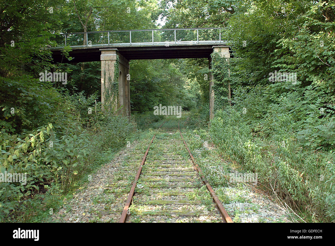 Abandoned railway line with rusty rails and sleepers covered in weed ...
