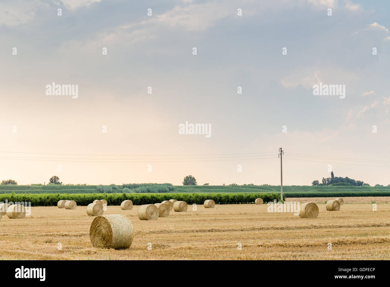 field with hay bales Stock Photo - Alamy