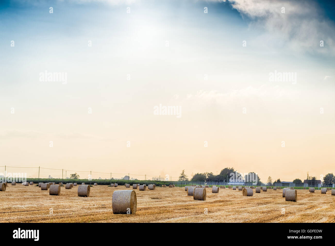 field with hay bales Stock Photo - Alamy