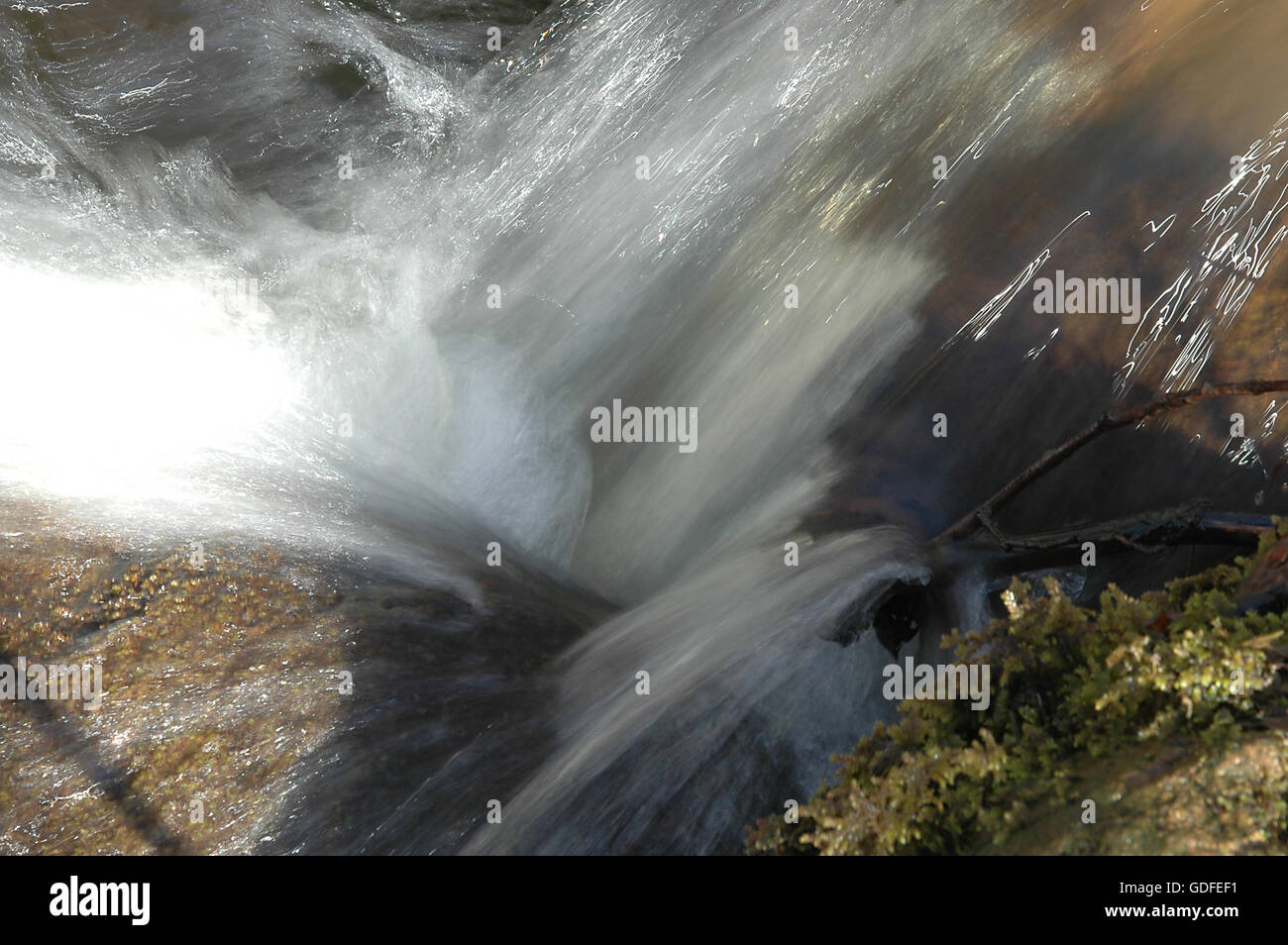 Moving water in a small stream Stock Photo - Alamy