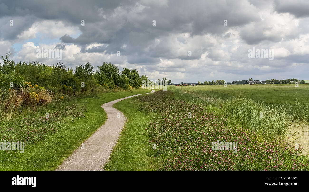 Bicycle path through dutch landscape in Groningen Stock Photo - Alamy