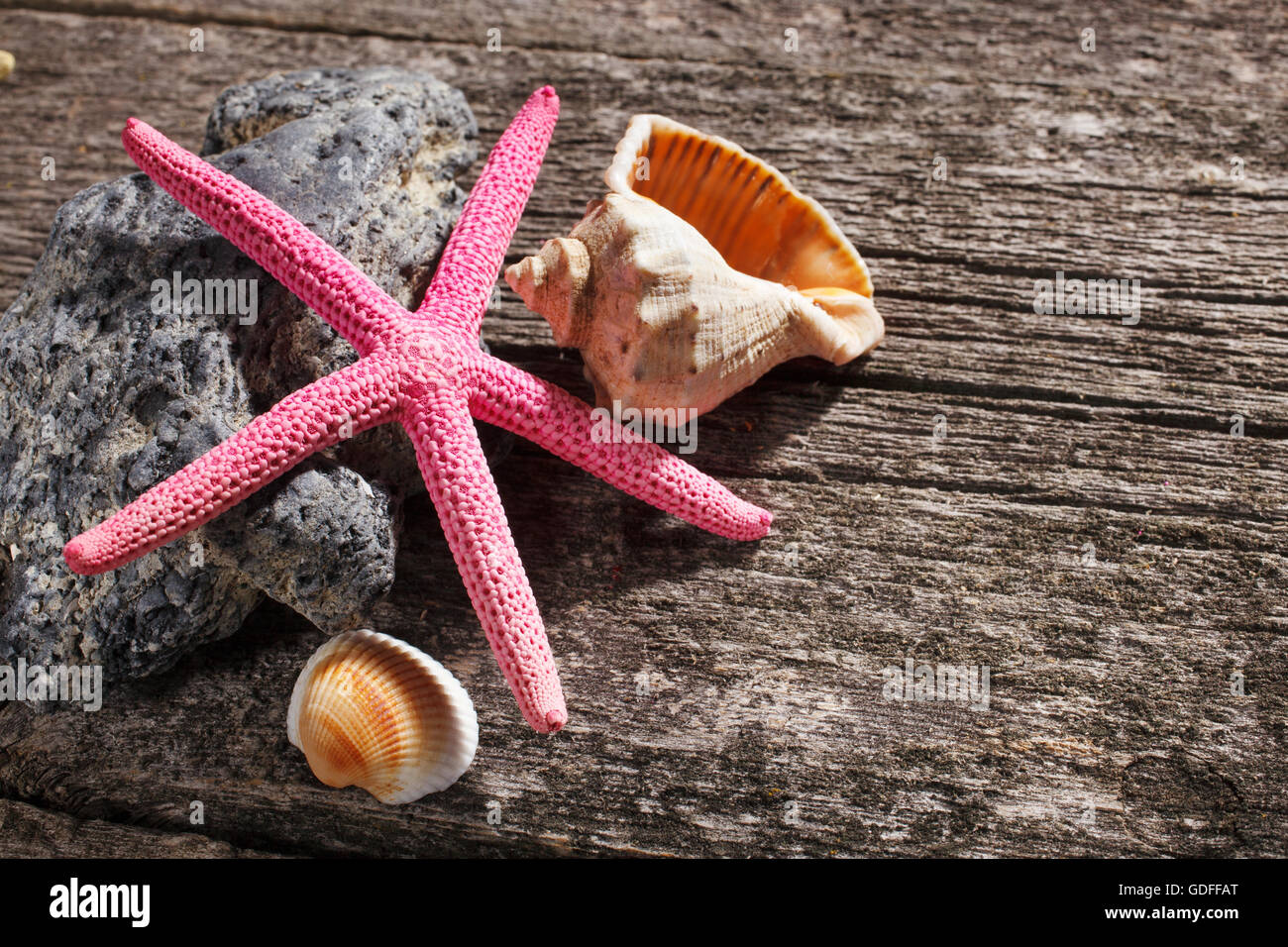 Wooden shell hi-res stock photography and images - Alamy