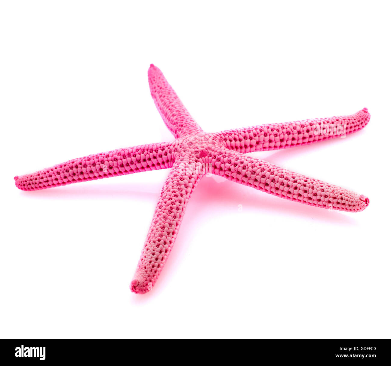 Sea Shell in the shape of star isolated Stock Photo - Alamy