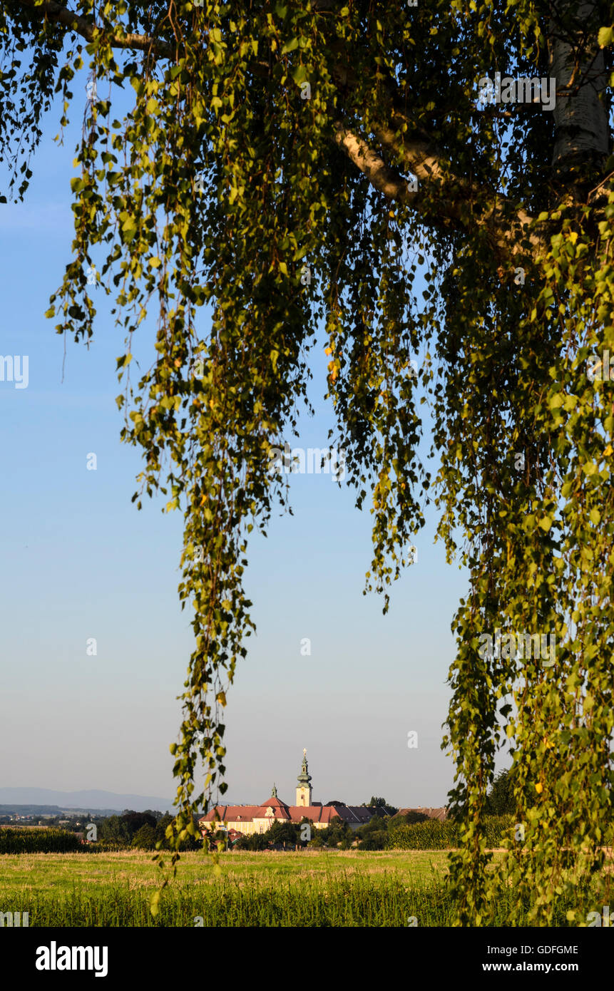Seitenstetten: Seitenstetten Monastery behind a birch, Austria ...