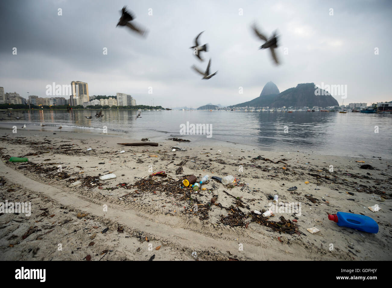 Garbage and pollution from Guanabara Bay wash ashore on Botafogo Beach ...