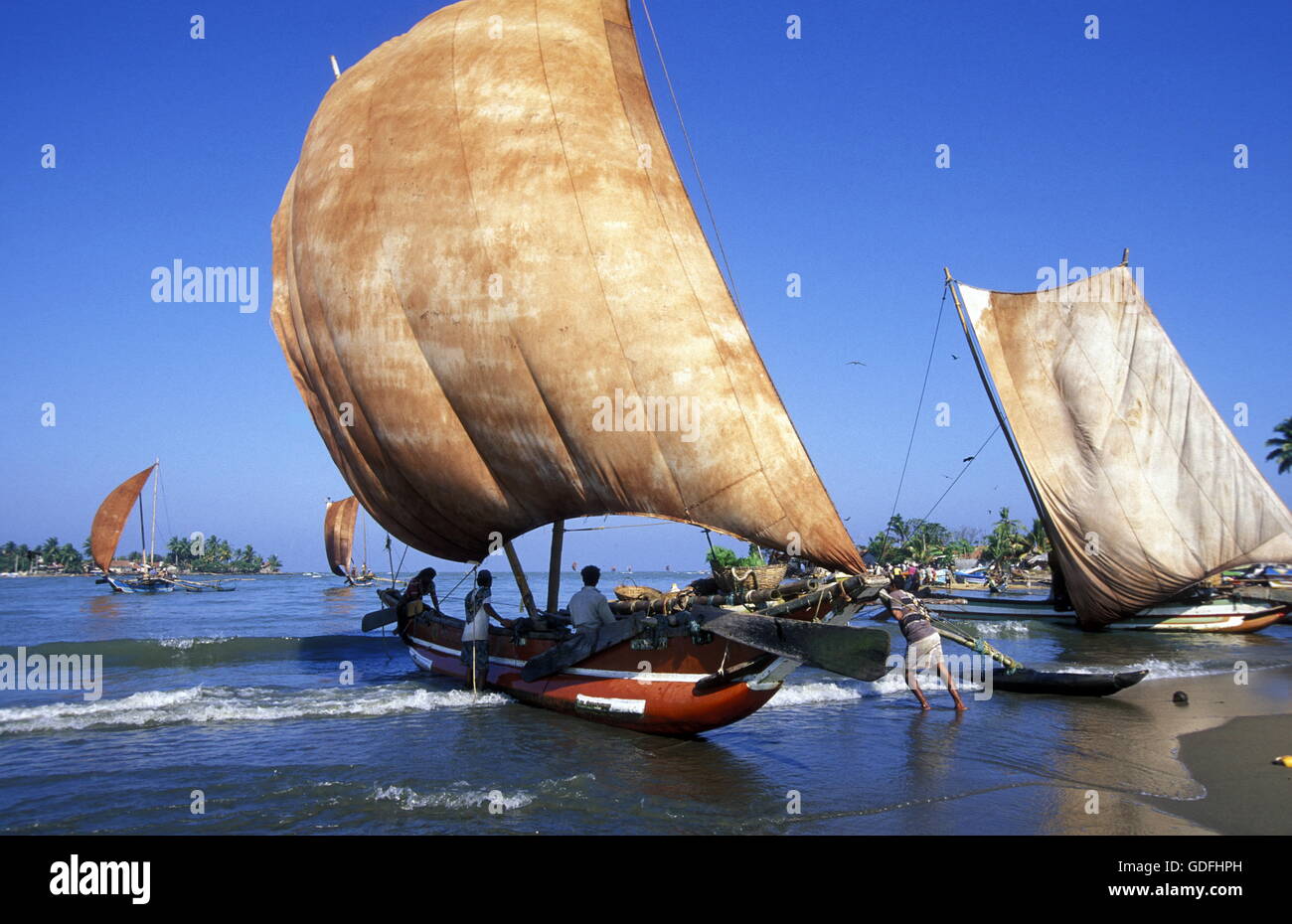 Dhoni Fishingboats at the coast of Nagombo at the westcoast of Sri ...
