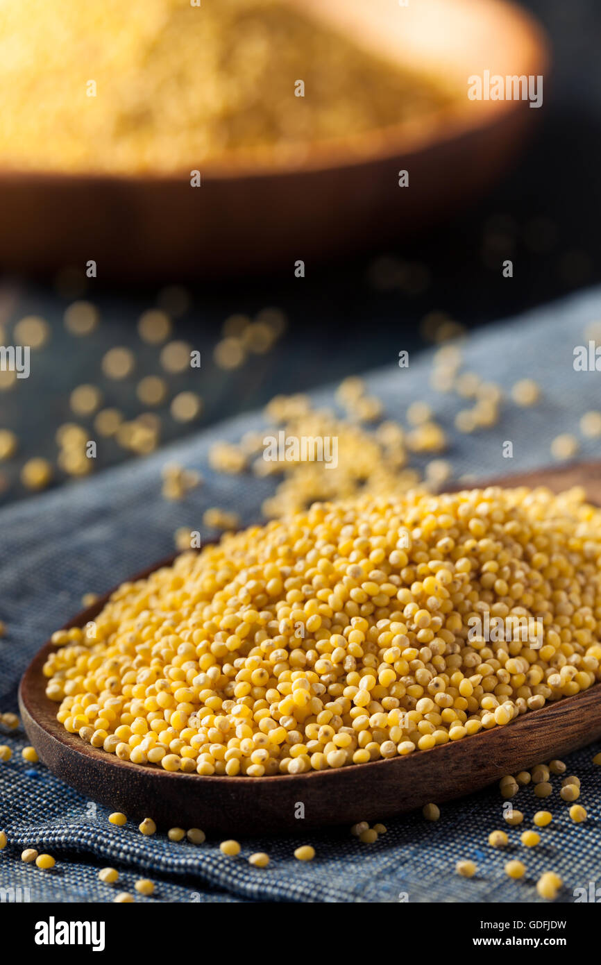 Millet crop hi-res stock photography and images - Alamy