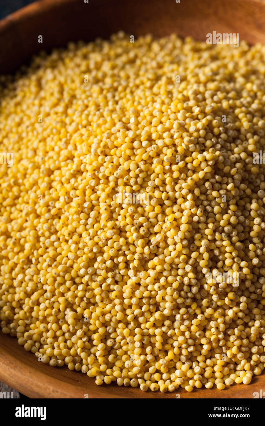 Raw Organic Healthy Millet in a Spoon Stock Photo - Alamy