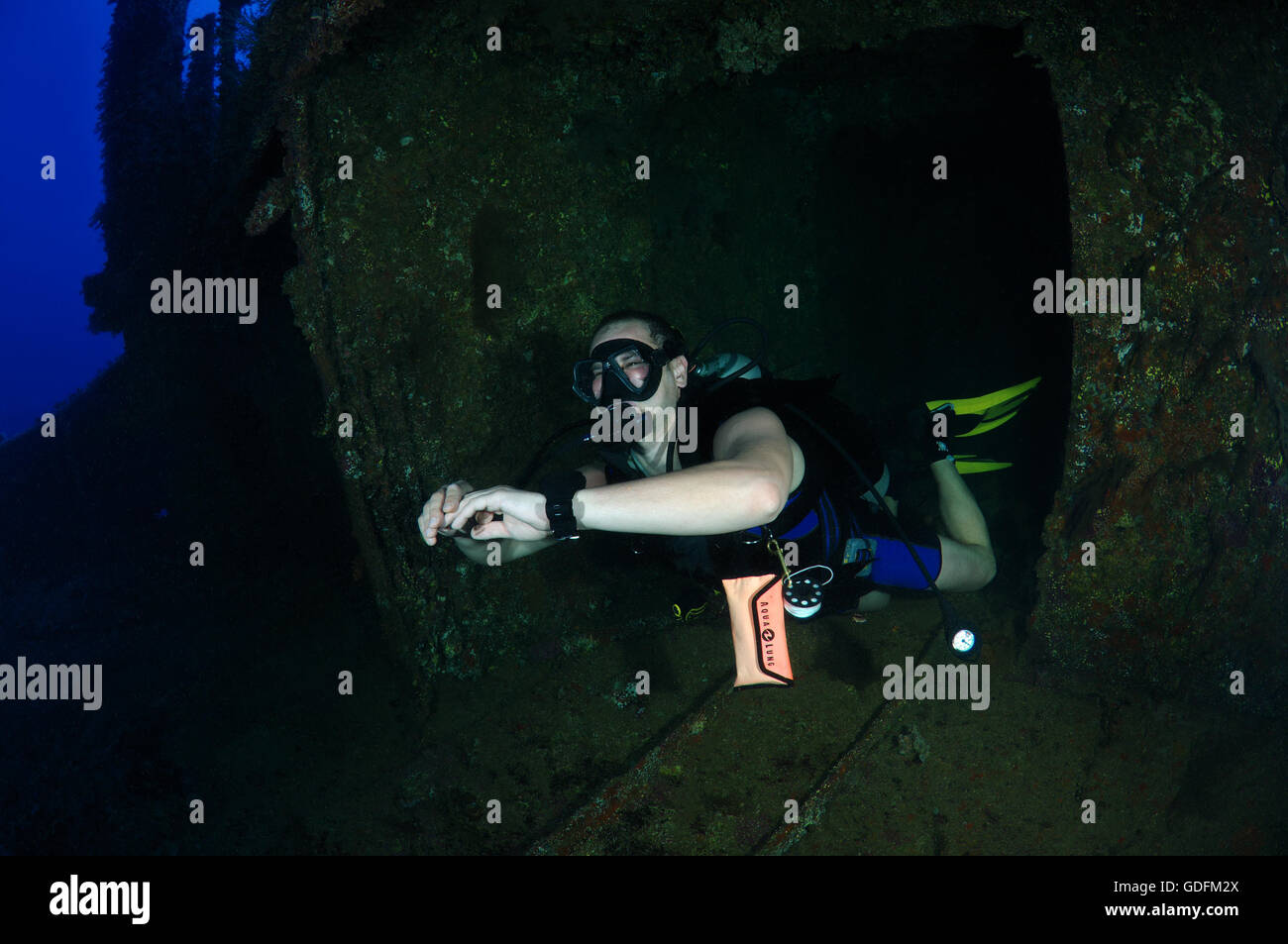 Male scuba diver inside the wreck of the Numidia, Big Brother reef ...