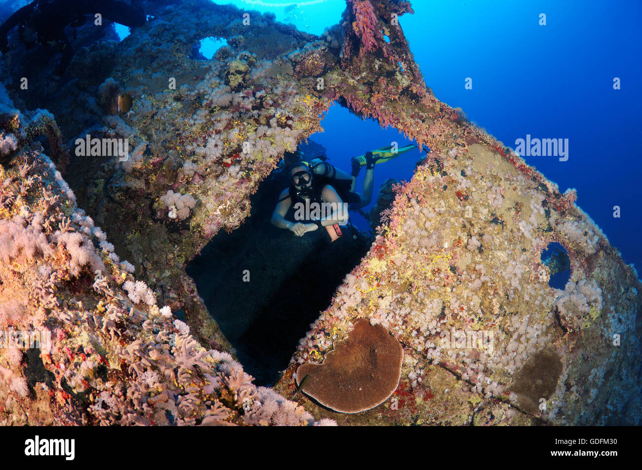 Male scuba diver inside the wreck of the Numidia, Big Brother reef ...