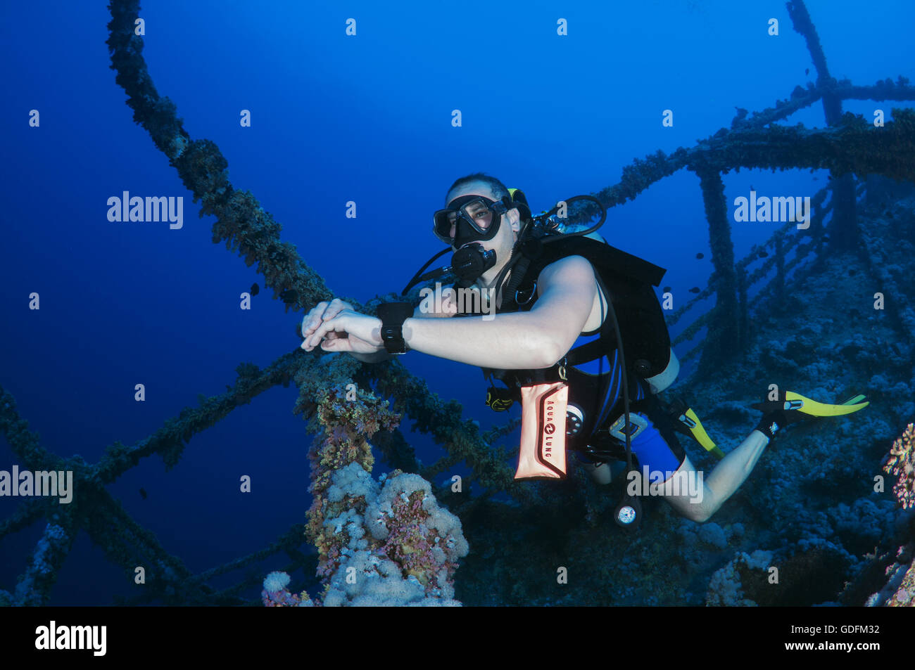 Male scuba diver at the wreck of the Numidia, Big Brother reef ...