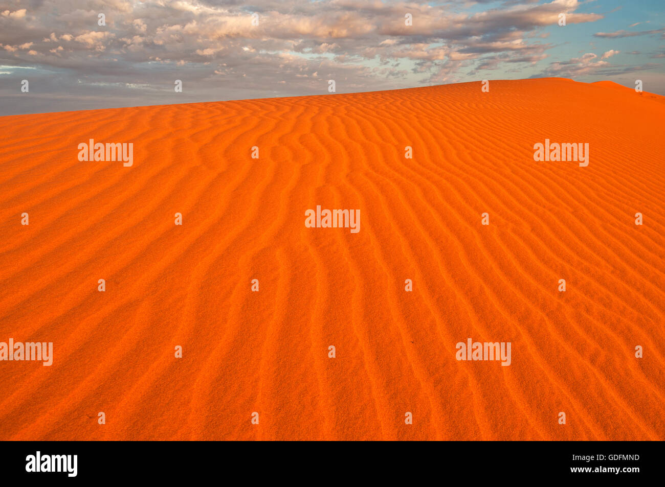 Simpson desert australia hi-res stock photography and images - Alamy