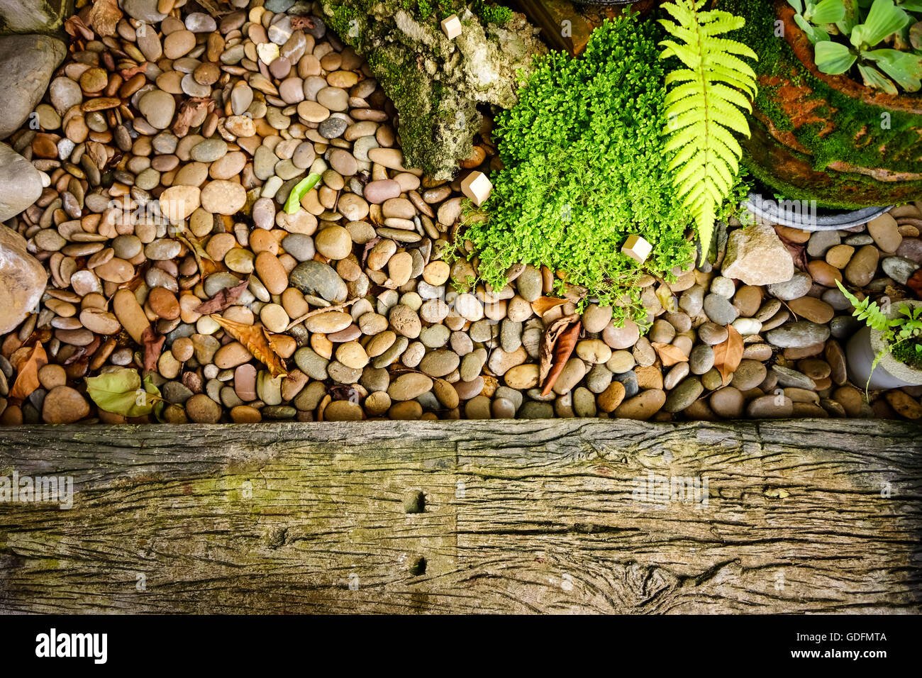 Little green tree and little rock background, with place your text ...