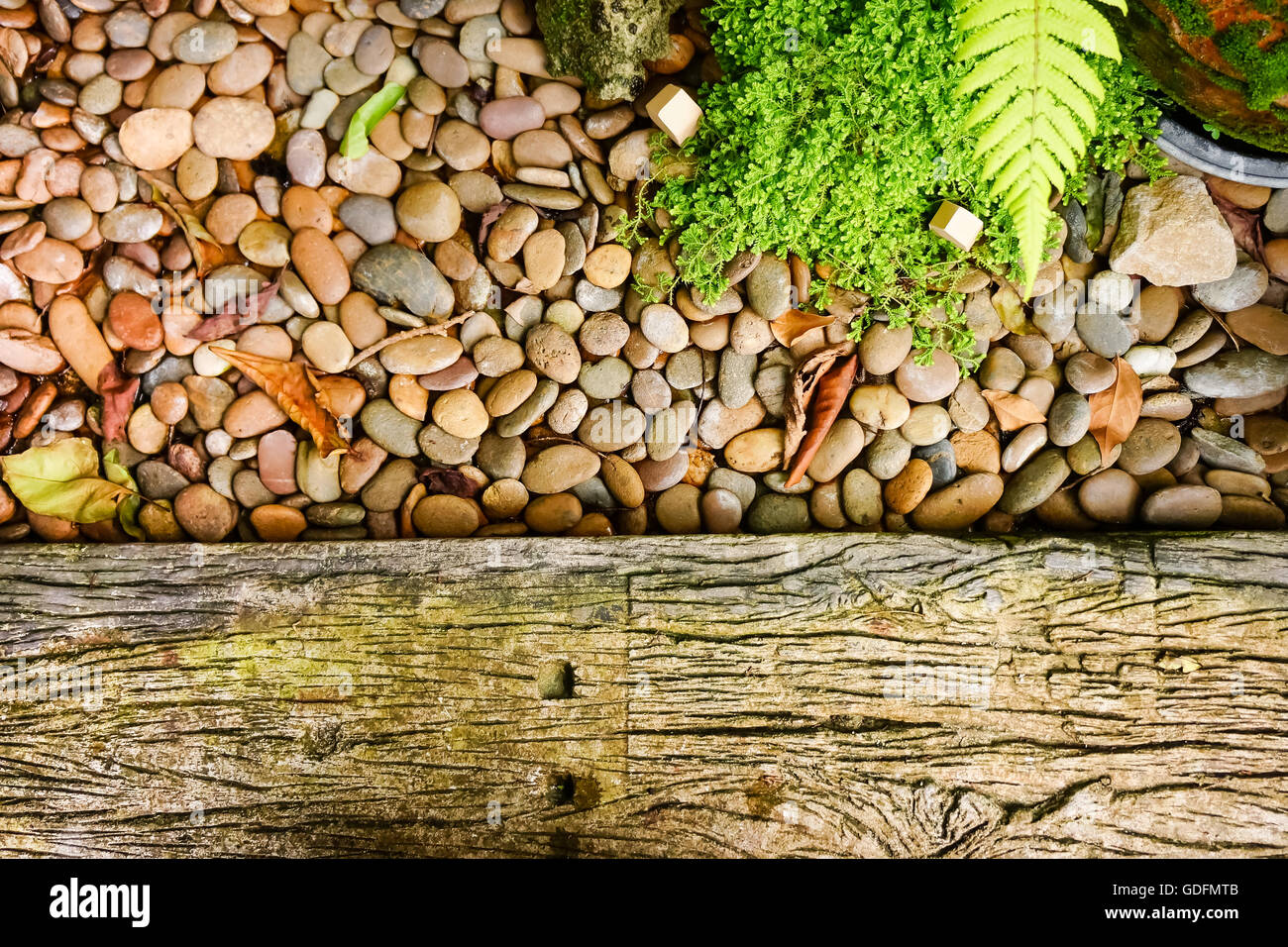 Little green tree and little rock background, with place your text ...