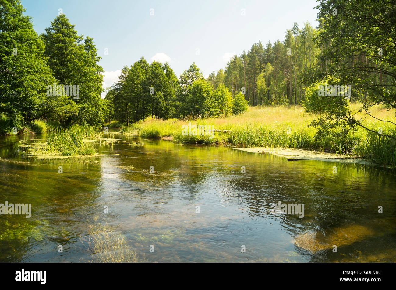 Year landscape with stream on background blue sky and white cloud Stock ...
