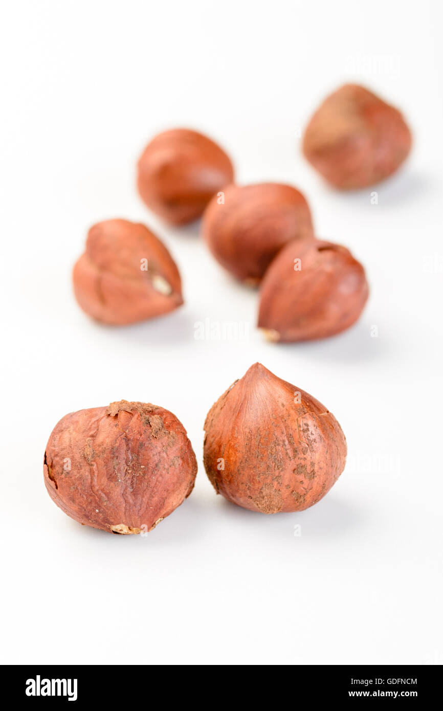 dried hazelnut on the white background Stock Photo - Alamy