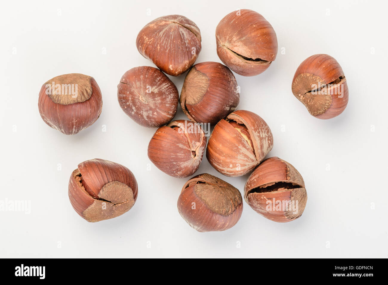 dried hazelnut on the white background Stock Photo - Alamy