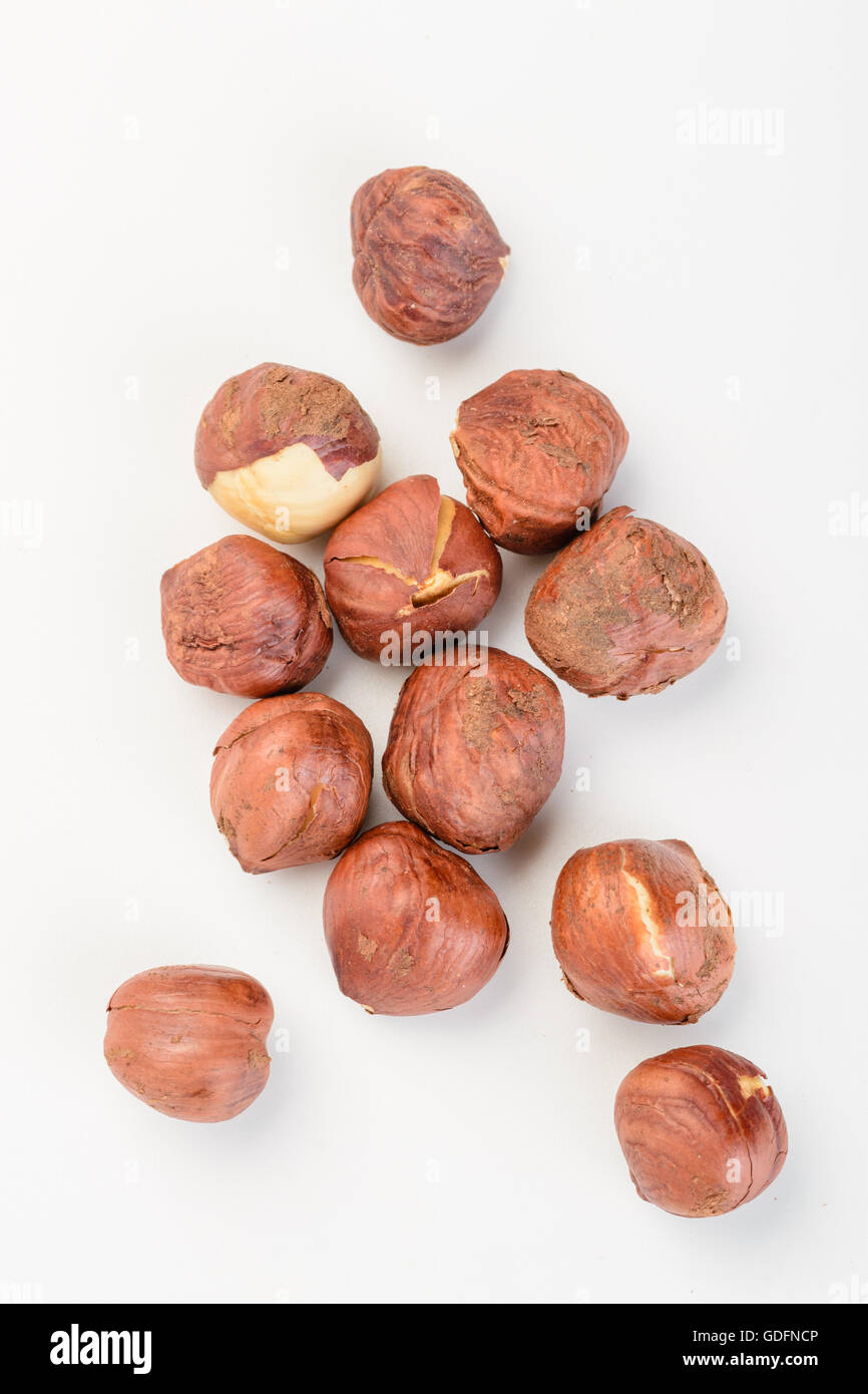 dried hazelnut on the white background Stock Photo - Alamy
